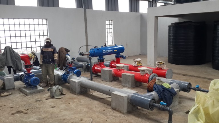 AAA growers: Timau Roses – Global Control Engineering